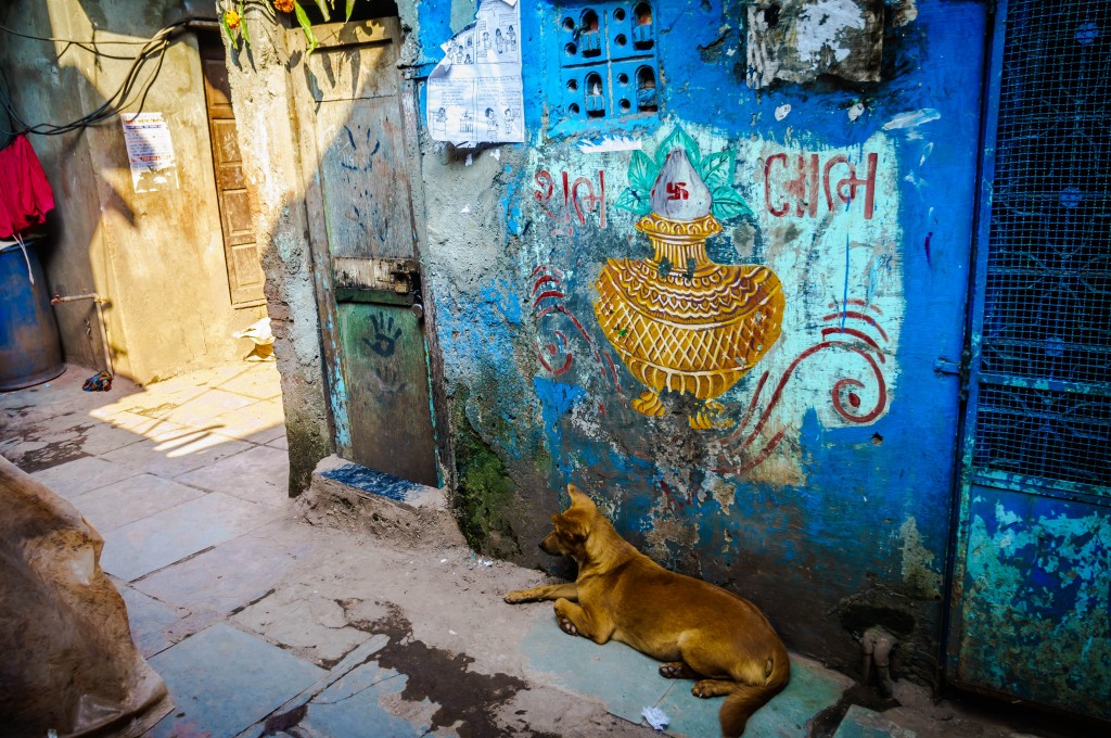 Slum Tourism: Life inside the Real Dharavi