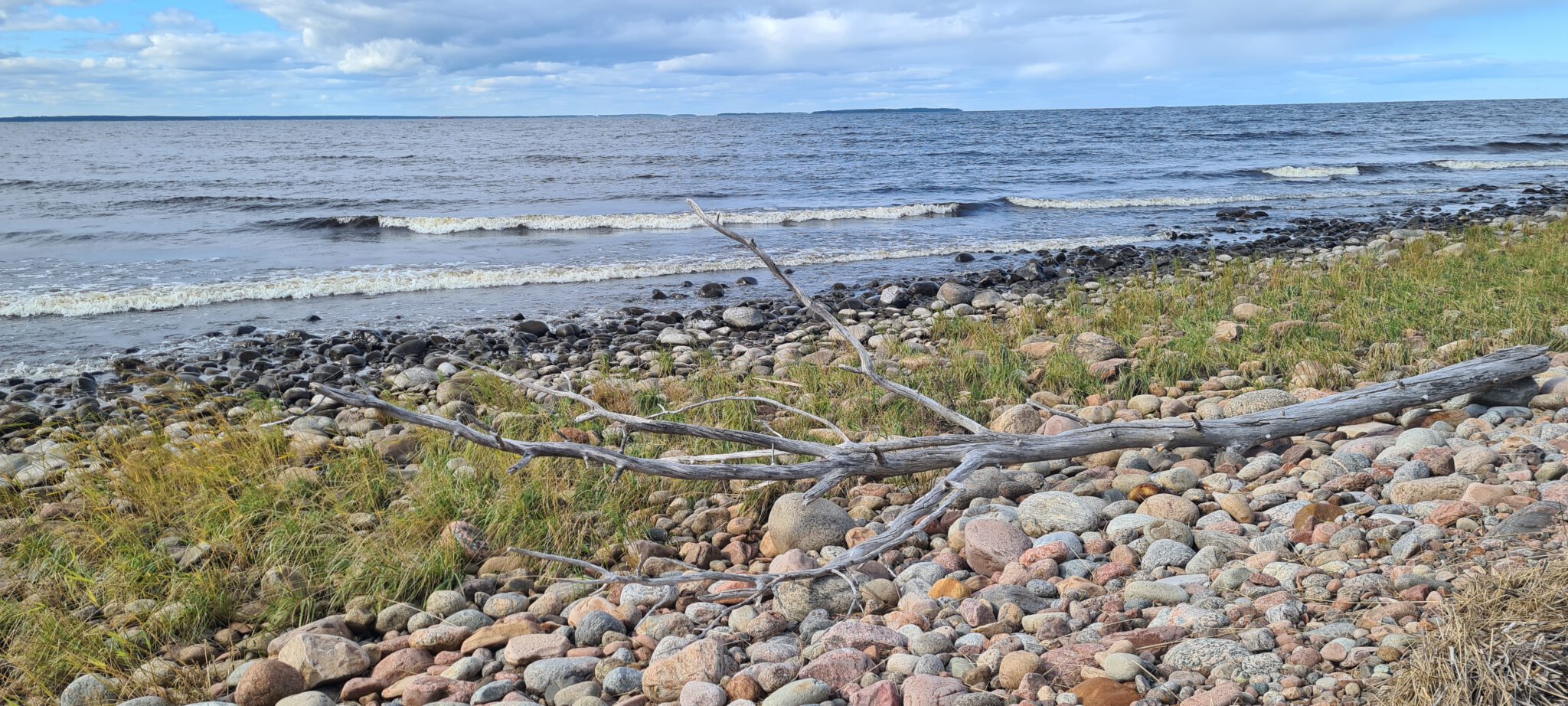 Things to do in Gävle | Runawaybrit